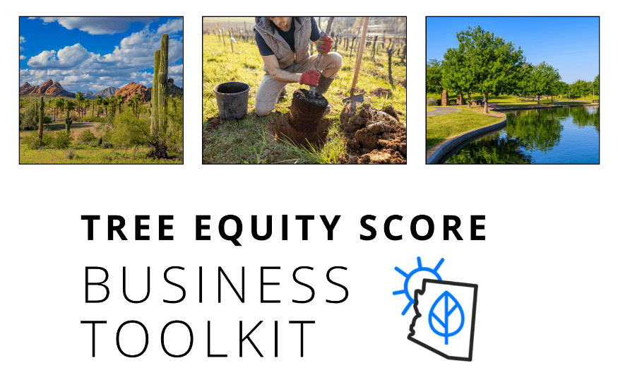 Shade for Everyone: Tree Equity Score Impact Team Launches Toolkit for ...